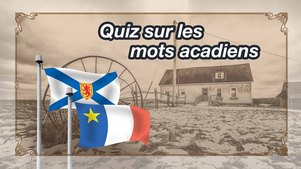 Quiz – Mots acadiens – Société Acadienne Sainte-Croix